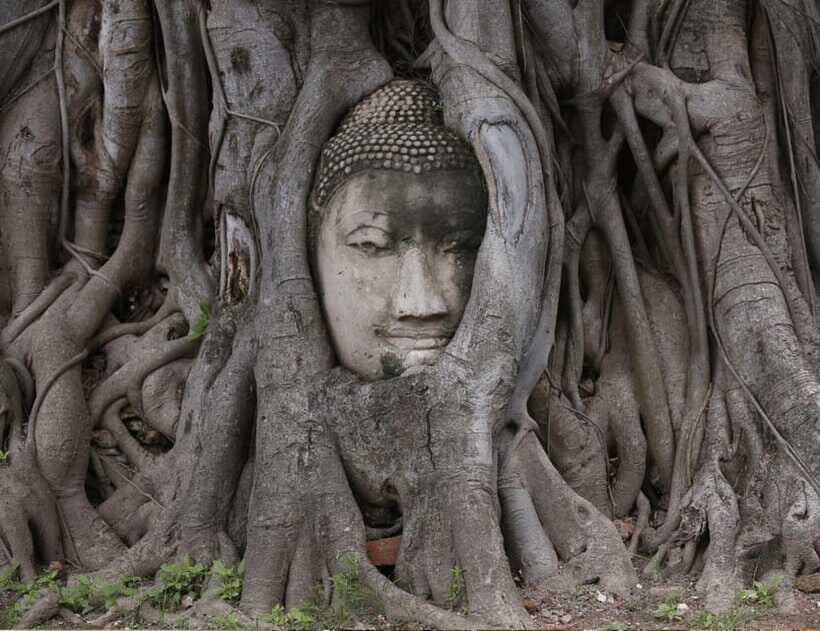 From Bangkok: Private Guided Tour of Ayutthayas 5 Temples - FAQ