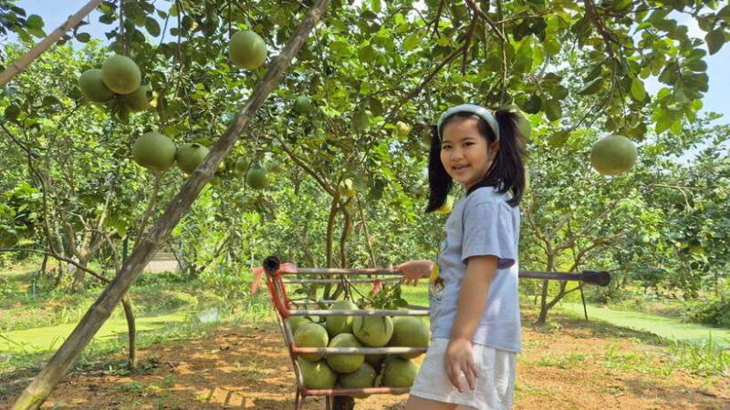 From Bangkok: Taste and Tune of Samut Songkhram Private Tour - From Bangkok: Taste and Tune of Samut Songkhram Private Tour