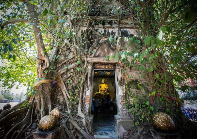 From Bangkok: Taste and Tune of Samut Songkhram Private Tour - What Makes This Tour Stand Out?