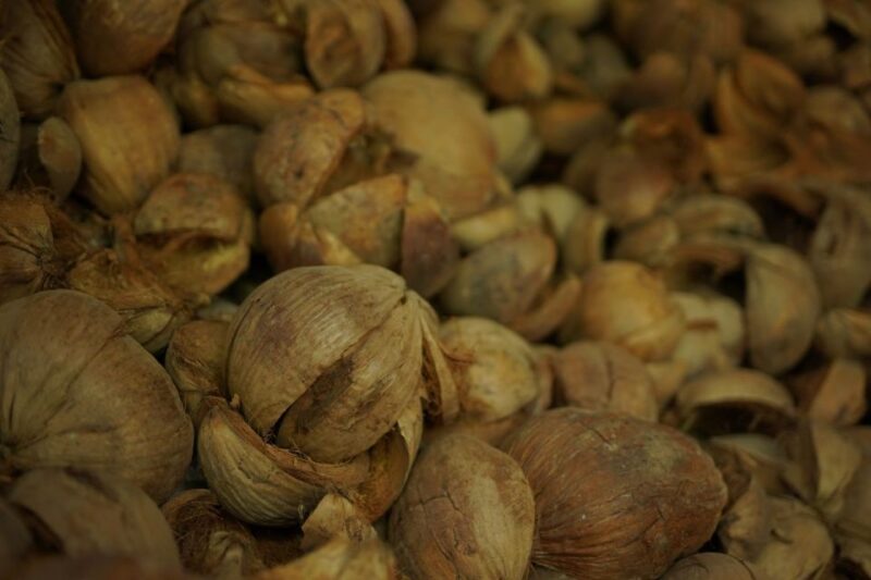 From Bangkok: Thaka Floating Market - Key Points