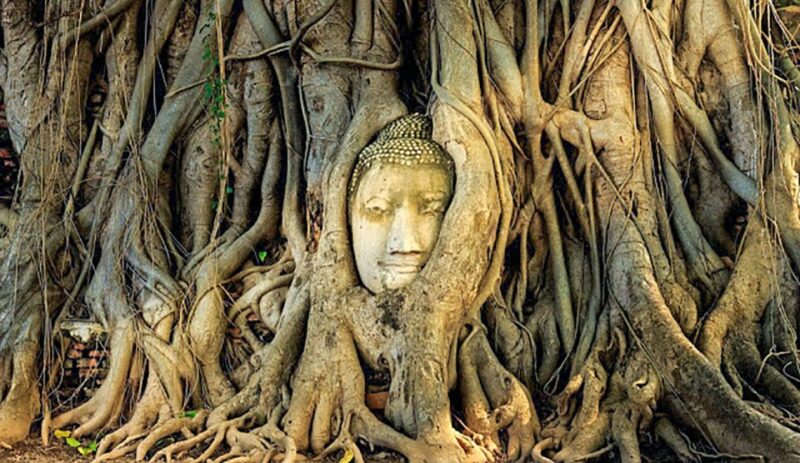 From Bangkok: Tour Ayutthaya + Lunch + Spanish guide - Who Should Consider This Tour?