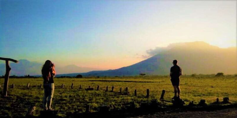 From Banyuwangi ; Baluran National Park & Snorkeling - The Value of This Tour