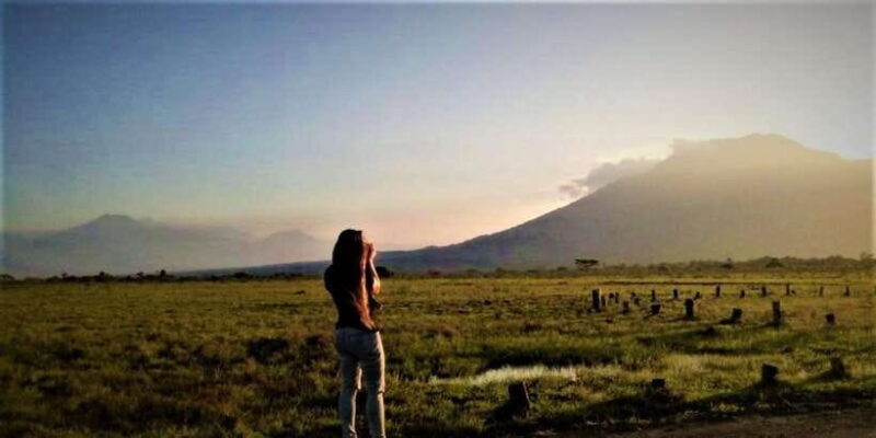 From Banyuwangi ; Baluran National Park & Snorkeling - Transport and Logistics