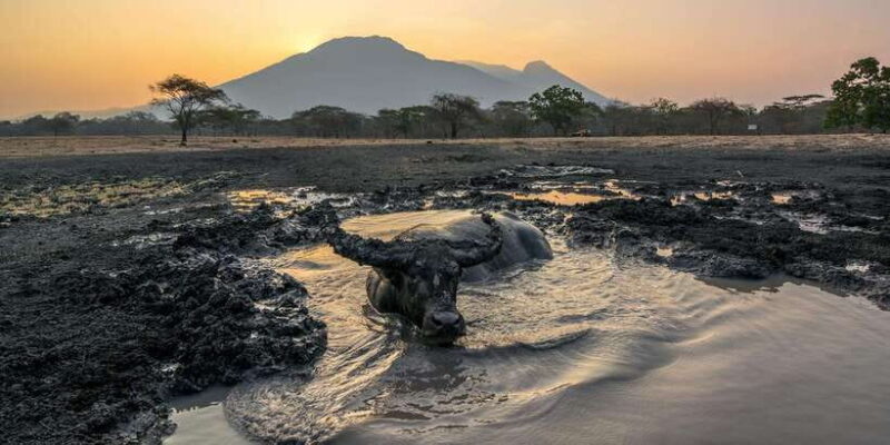 From Banyuwangi ; Baluran National Park & Snorkeling - Final Thoughts