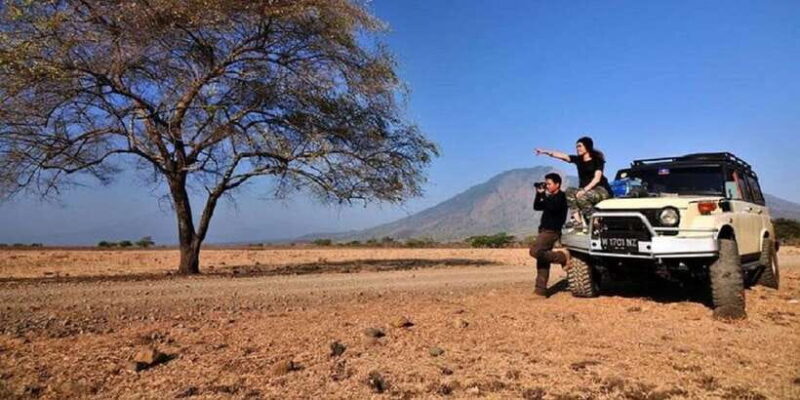 From Banyuwangi: Baluran Wildlife Safari Sunset Tour - Key Points