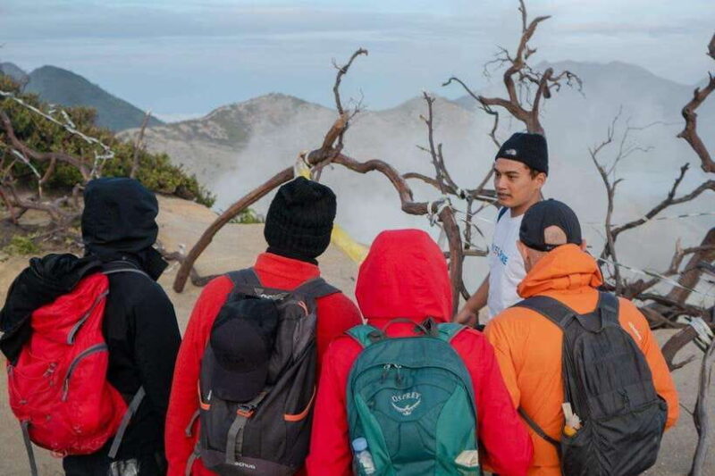 From Banyuwangi: Day Trip to Ijen Volcano with Guided Trek - Who Is This Tour Best Suited For?