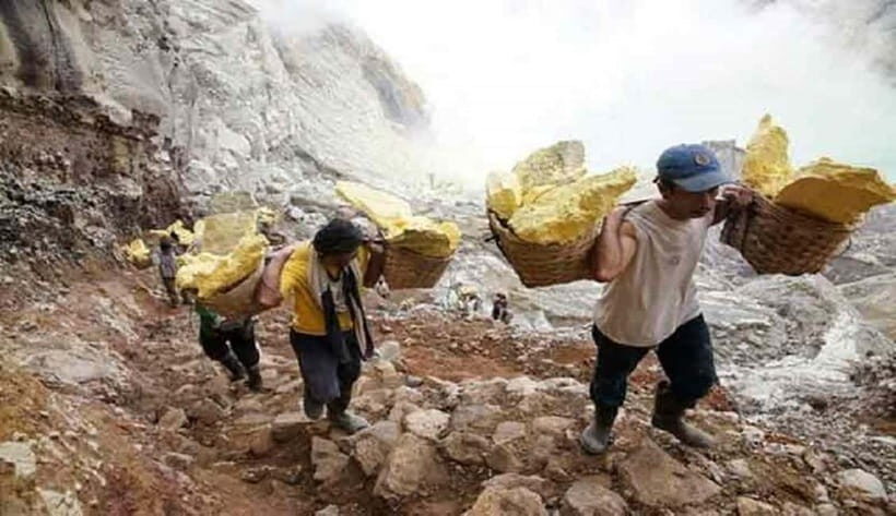 From Banyuwangi: Kawah Ijen Day Tour Without Blue Fire - Exploring the Itinerary in Detail