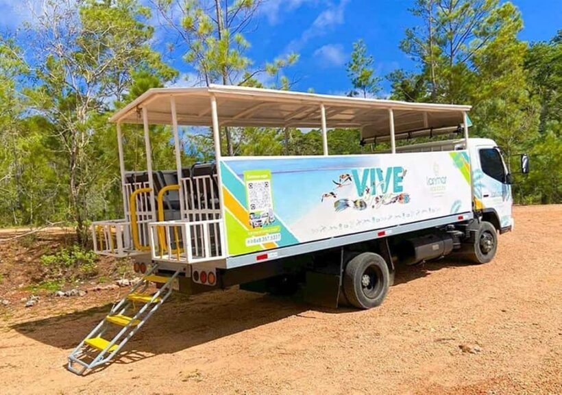 From Barahona: Guided Full-day Tour to Bahía de las Águilas - The Sum Up