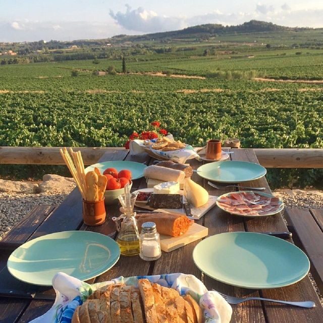From Barcelona: 3 wineries with hotel pick-up and Lunch - Who Will Love This Tour?