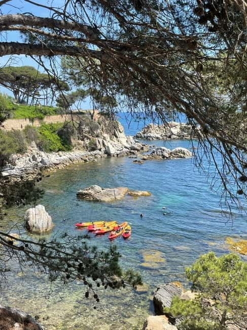 From Barcelona: Costa Brava Kayak & Snorkel Tour with Picnic - Who Should Consider This Tour?