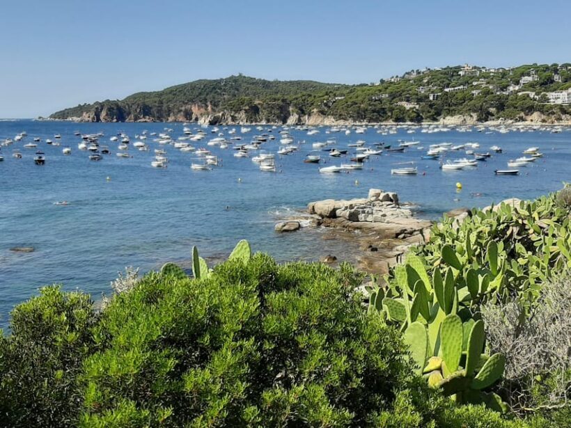 From Barcelona: Costa Brava Typical Towns full day tour - Transportation and Practicalities
