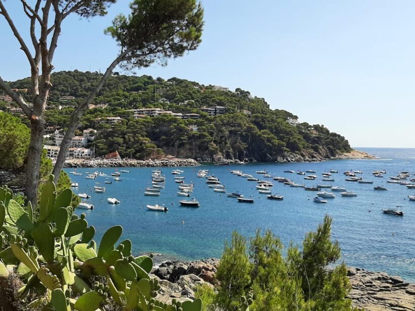 From Barcelona: Costa Brava Typical Towns full day tour - The Sum Up: Why It’s Worth Considering