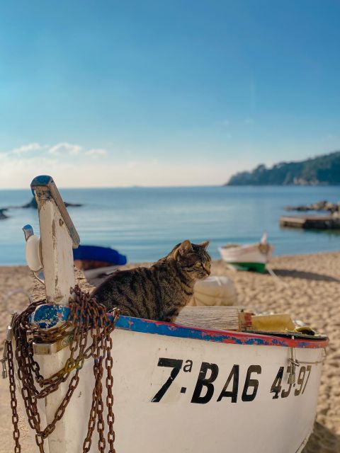 From Barcelona: Day Trip to France with Girona Visit - Analyzing the Value