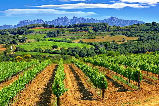 From Barcelona: El Penedès Hike & Wines - The Hike: Discovering El Penedès Land