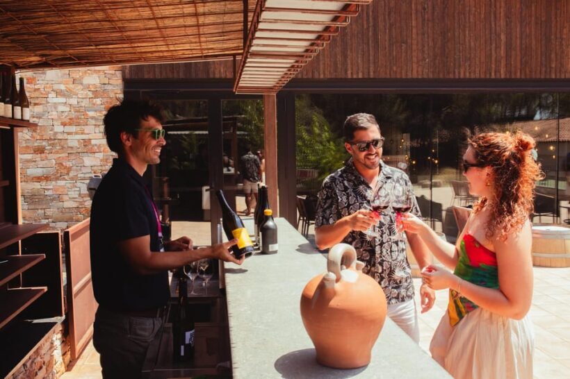 From Barcelona: Full-Day Montserrat & Wine Small Group Tour - Who Will Love This Tour?