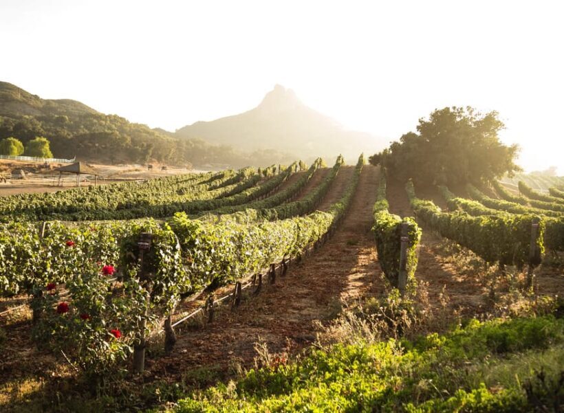 From Barcelona: Half-Day Trip to Montserrat Mountain - Frequently Asked Questions (FAQs)