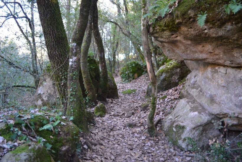 From Barcelona: Medieval Villages and Volcanic Hiking Tour - Analyzing the Value: Does the Price Match the Experience?