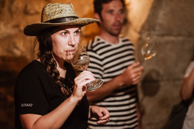 From Barcelona: Montserrat Lunch & Wine Tasting in Vineyard - Practical Details & Considerations