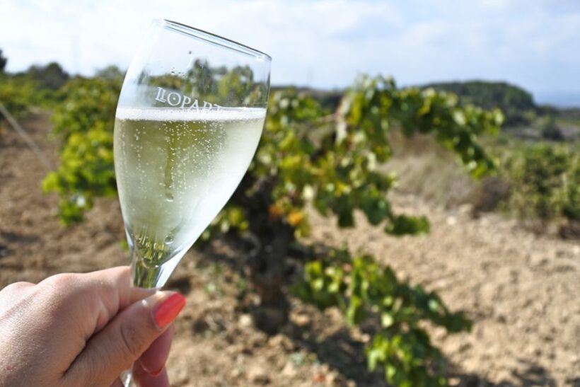 From Barcelona: Montserrat Lunch & Wine Tasting in Vineyard - FAQ