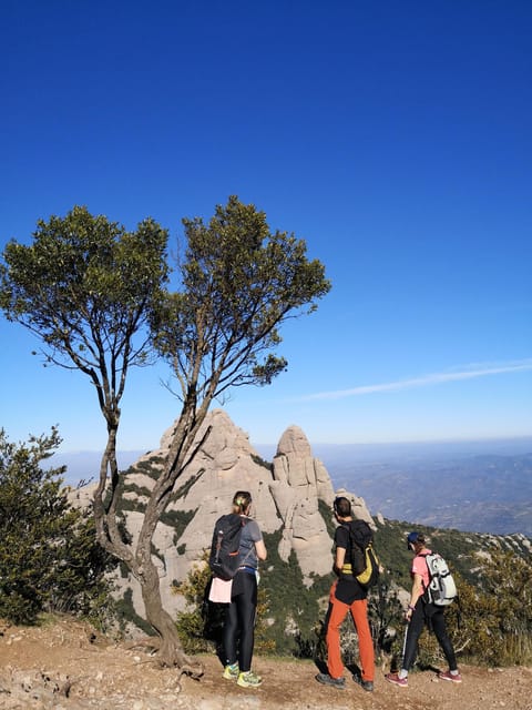 From Barcelona: Montserrat Monastery and easy sightseeing tour - FAQ