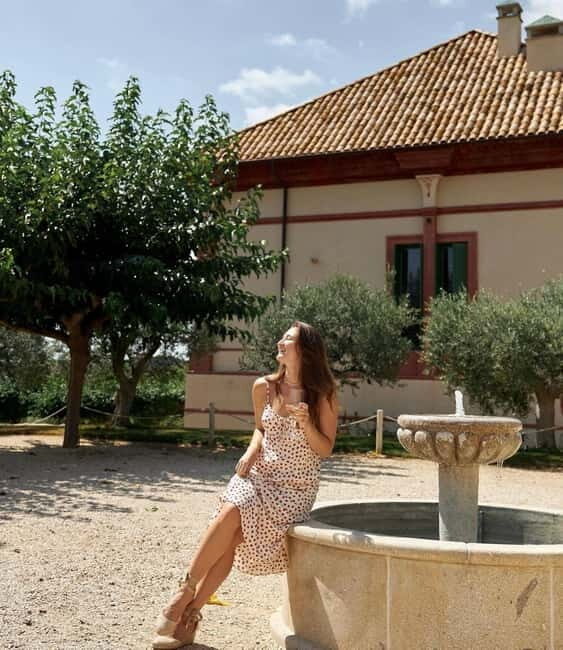 From Barcelona: Penedès Premium Wine Tasting & Gourmet Tapas - Final Thoughts