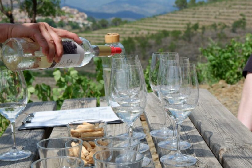 From Barcelona: Priorat's Exclusive Cellars, Wines & Nature - Key Points