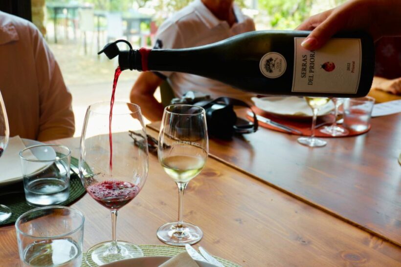 From Barcelona: Priorat's Exclusive Cellars, Wines & Nature - Exploring Priorat’s Charm: An Overview