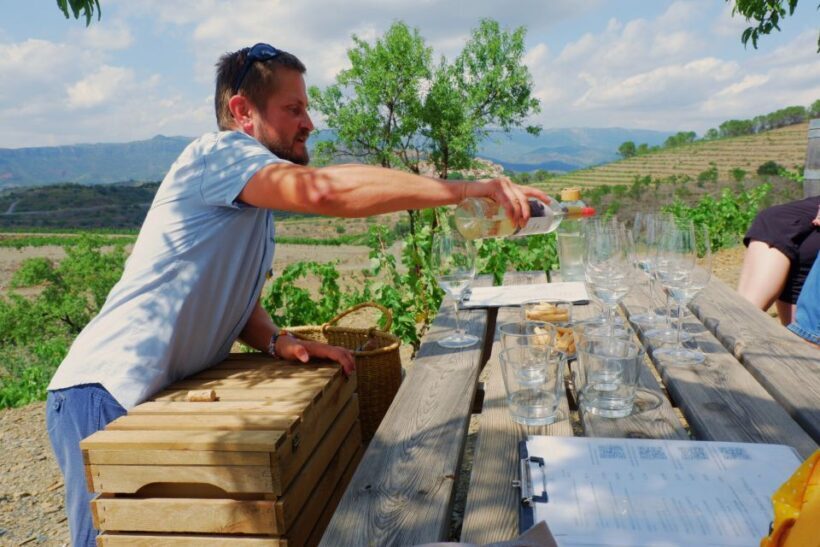 From Barcelona: Priorat's Exclusive Cellars, Wines & Nature - Why This Tour Is a Great Value