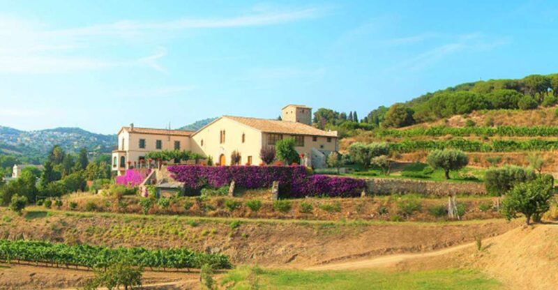 From Barcelona: Private Alella Wine Tour by Electric Bike - Exploring the Alella Wine Tour by Electric Bike: A Genuine Mix of Scenic Beauty and Authentic Flavors