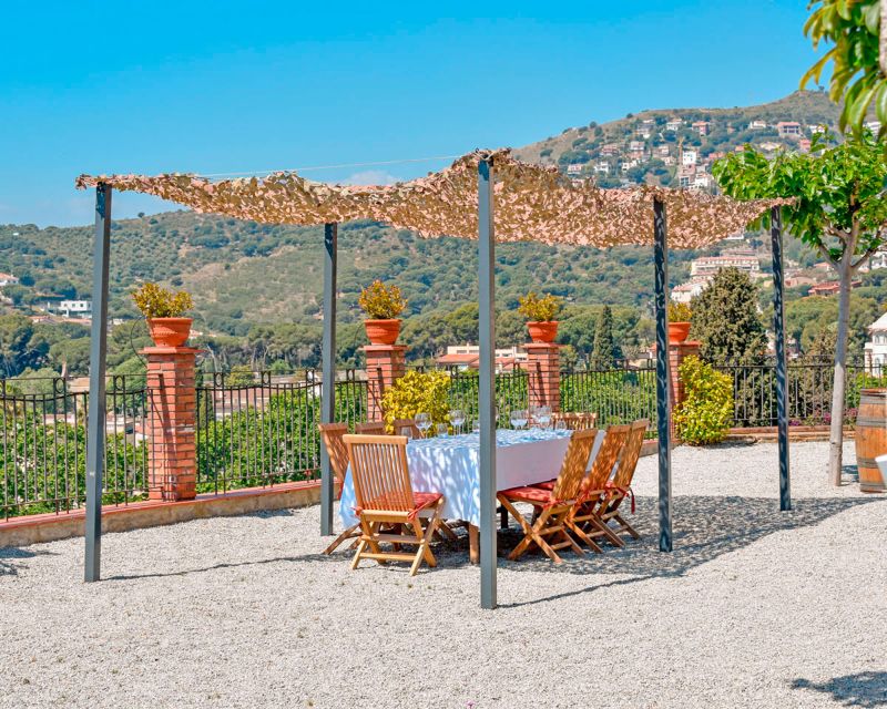 From Barcelona: Private Alella Wine Tour by Electric Bike - What Makes This Tour Stand Out?