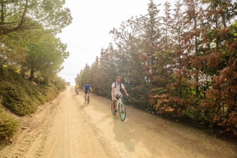 From Barcelona: Private Alella Wine Tour by Electric Bike - Practical Details: What to Expect