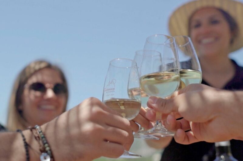 From Barcelona: Private Alella Wine Tour by Electric Bike - Authentic Experiences and Real Travelers Insights