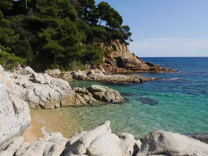 From Barcelona: Private Costa Brava Guided Tour - Transportation and Comfort