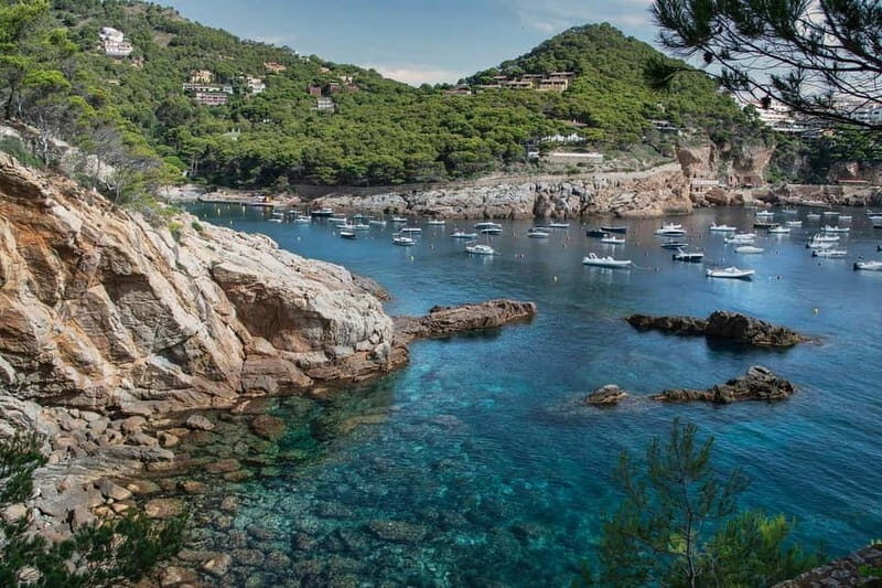 From Barcelona: Private Costa Brava Guided Tour - The Sum Up
