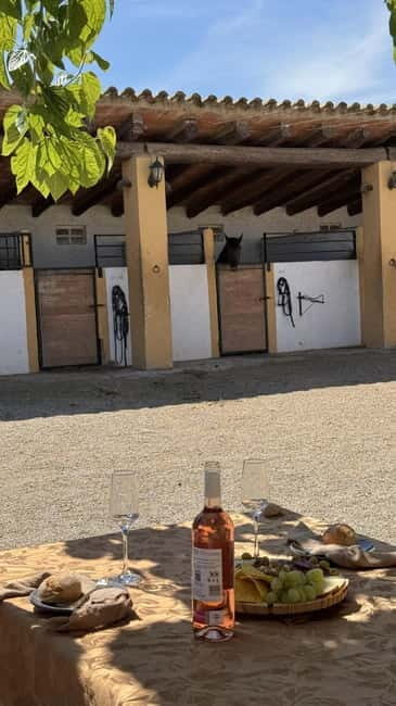 From Barcelona: PRIVATE Horseback Ride + Tapas + Wine Picnic - Introduction: A Unique Blend of Nature, Food, and Wine