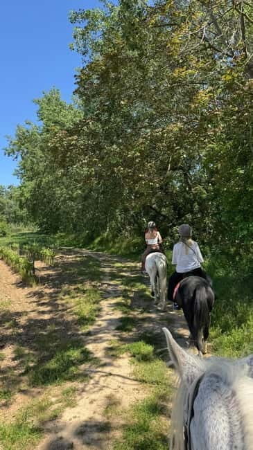 From Barcelona: PRIVATE Horseback Ride + Tapas + Wine Picnic - What Makes This Tour Stand Out?