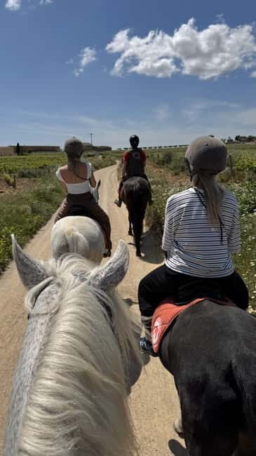 From Barcelona: PRIVATE Horseback Ride + Tapas + Wine Picnic - Who Should Consider This Tour?