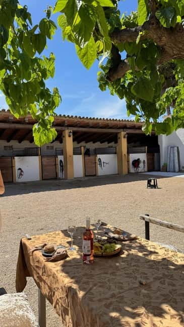 From Barcelona: PRIVATE Horseback Ride + Tapas + Wine Picnic - FAQ