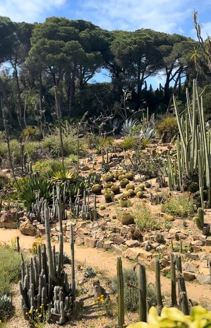 From Barcelona: PRIVATE Marimurtra Garden and Blanes Tour - A Closer Look at the Itinerary