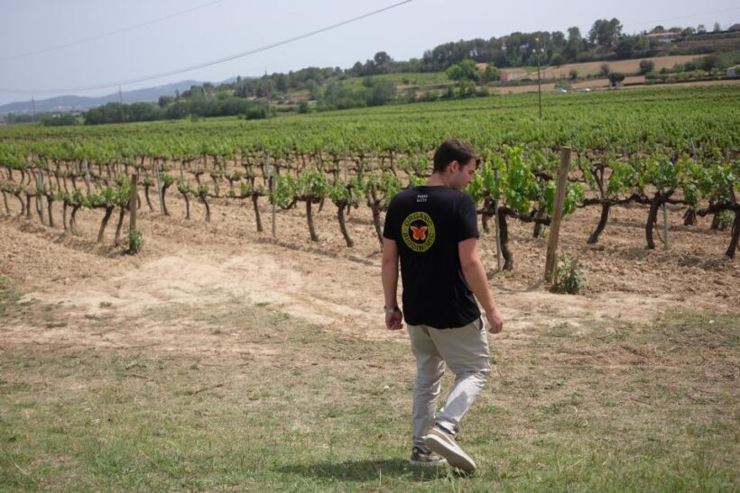 From Barcelona: Pvt Penedès Wine & Cava Tastings with Lunch - An In-Depth Look at the Penedès Private Tour