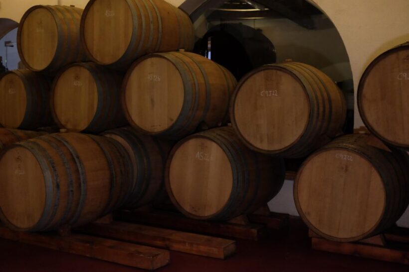 From Barcelona: Pvt Penedès Wine & Cava Tastings with Lunch - What to Expect on the Day