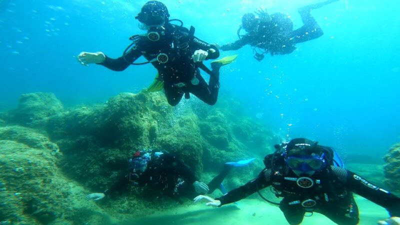 From Barcelona: Tossa de Mar Scuba Diving and 3-Course Meal - Practical Tips for Participants