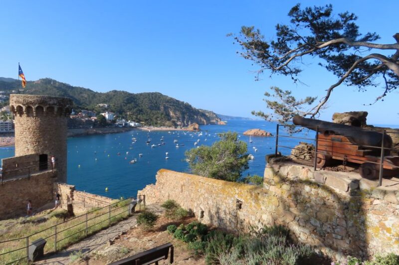 From Barcelona: Tossa de Mar Scuba Diving and 3-Course Meal - The Sum Up