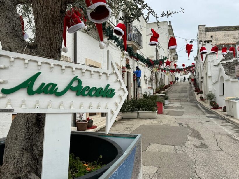 From Bari: Alberobello and Matera Day Trip - Who Will Love This Tour?