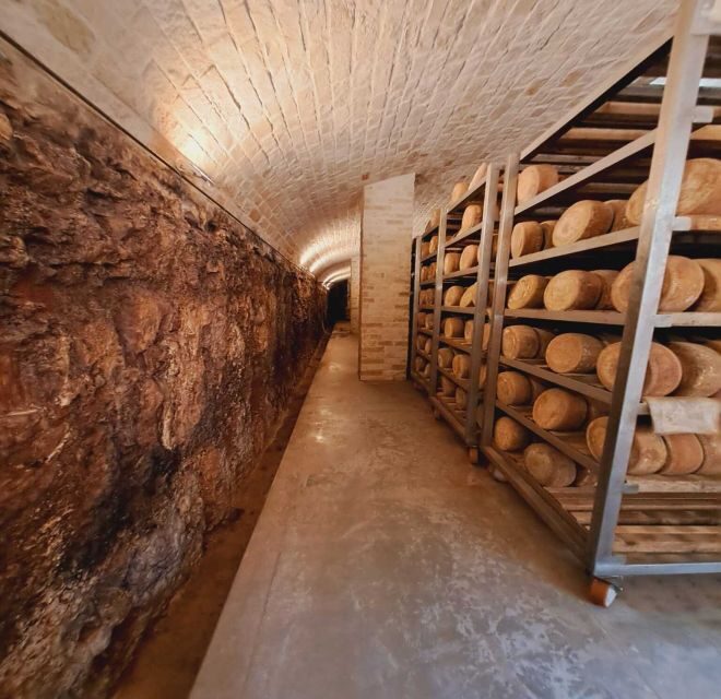 From Bari: Burrata cheese experience in a local dairy farm - An Overview of the Experience