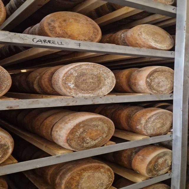From Bari: Burrata cheese experience in a local dairy farm - Transportation and Practicalities