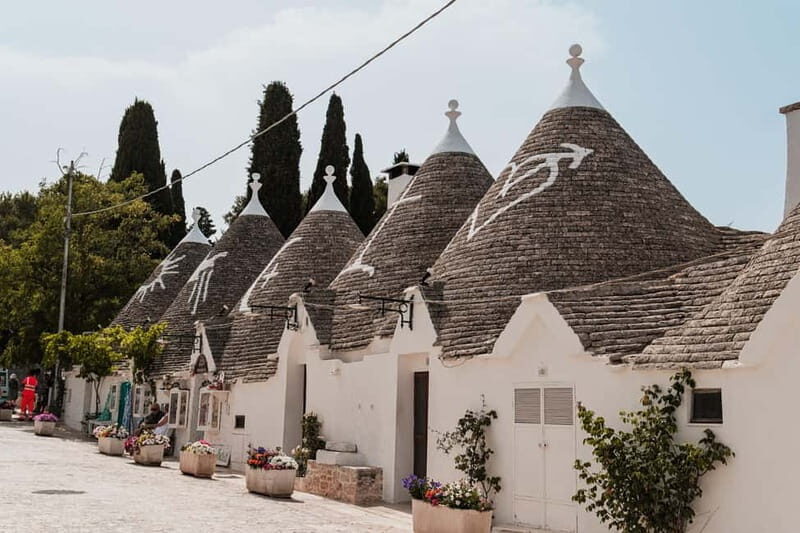 From BARI: Tour of Matera and Alberobello by private bus, visit 2 UNESCO sites - Who Will Love This Tour?