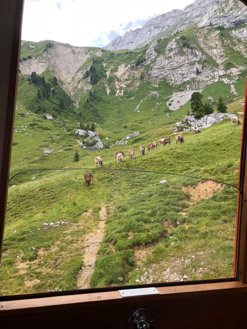 From Basel: Mt. Pilatus and Lake Lucerne Private Tour - Getting to Mt. Pilatus