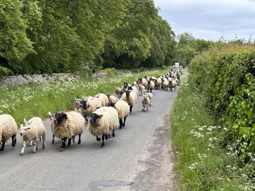 From Bath: Cotswolds Private Day Tour with Pickup - Final Thoughts: Is This Tour Right for You?
