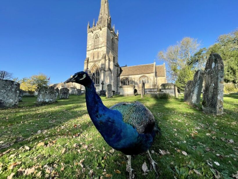 From Bath: Private Tour to Serene Cotswolds with Pickup - Who Should Consider This Tour?